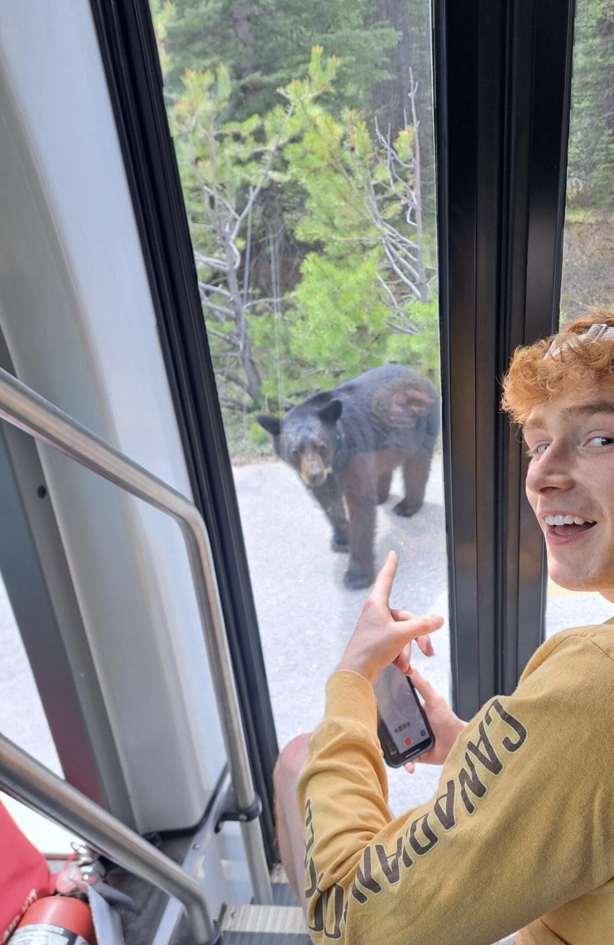 The Moose Travel Network – A Solo Traveler Guide | Western Canada ...